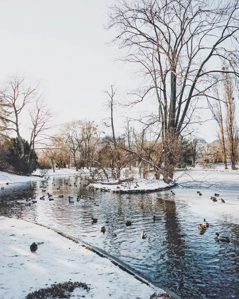 35 Photos that will make you want to visit Vienna, Austria - The Vienna ...