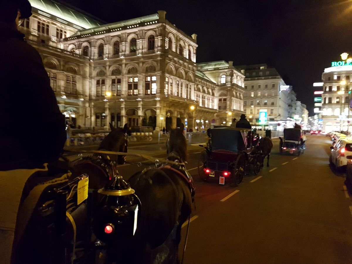 How to make the most perfect Viennese ball experience - The Vienna BLOG