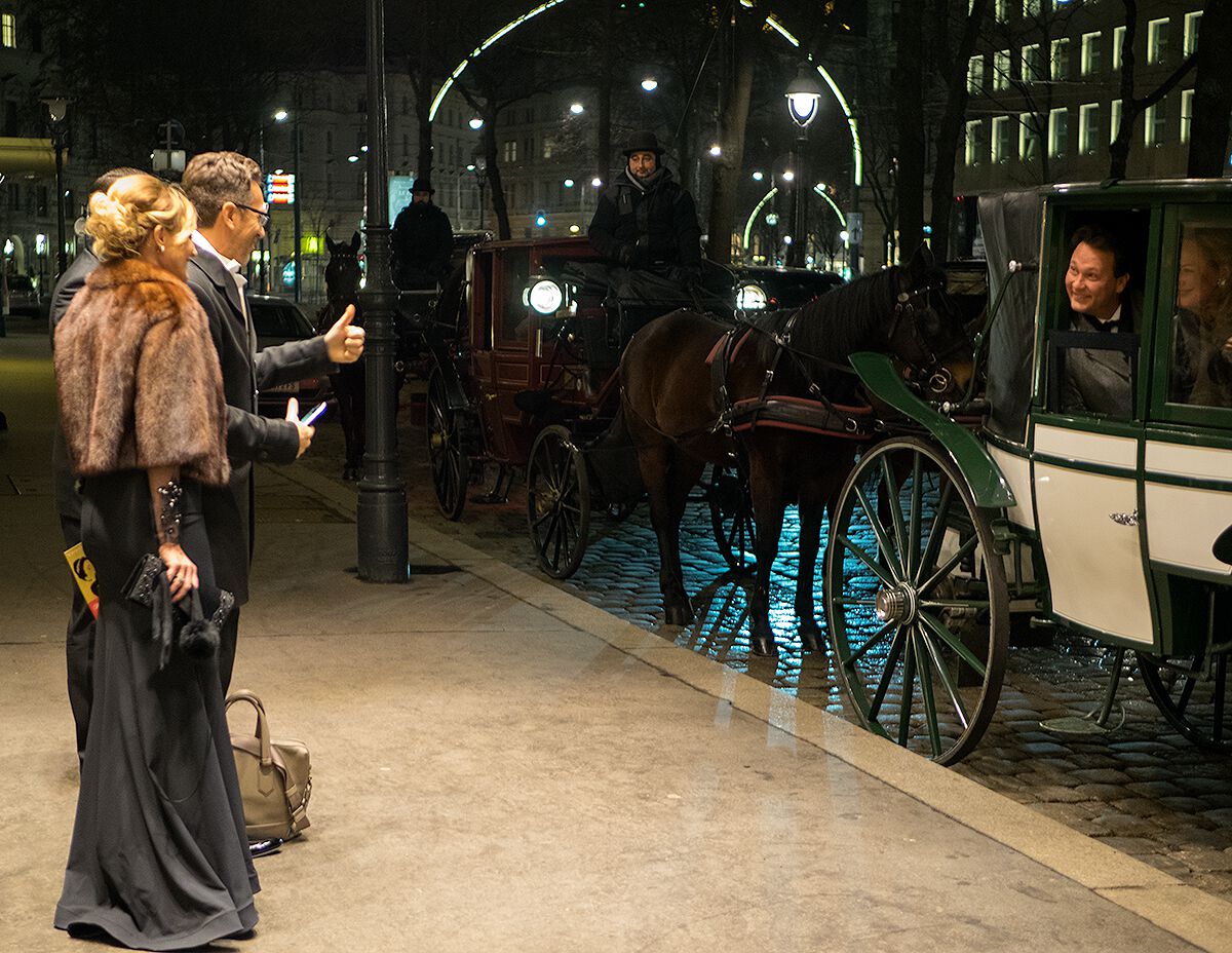 How to make the most perfect Viennese ball experience - The Vienna BLOG