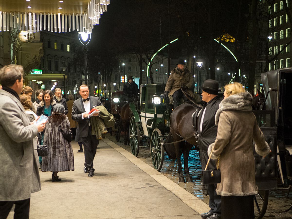 How to make the most perfect Viennese ball experience - The Vienna BLOG