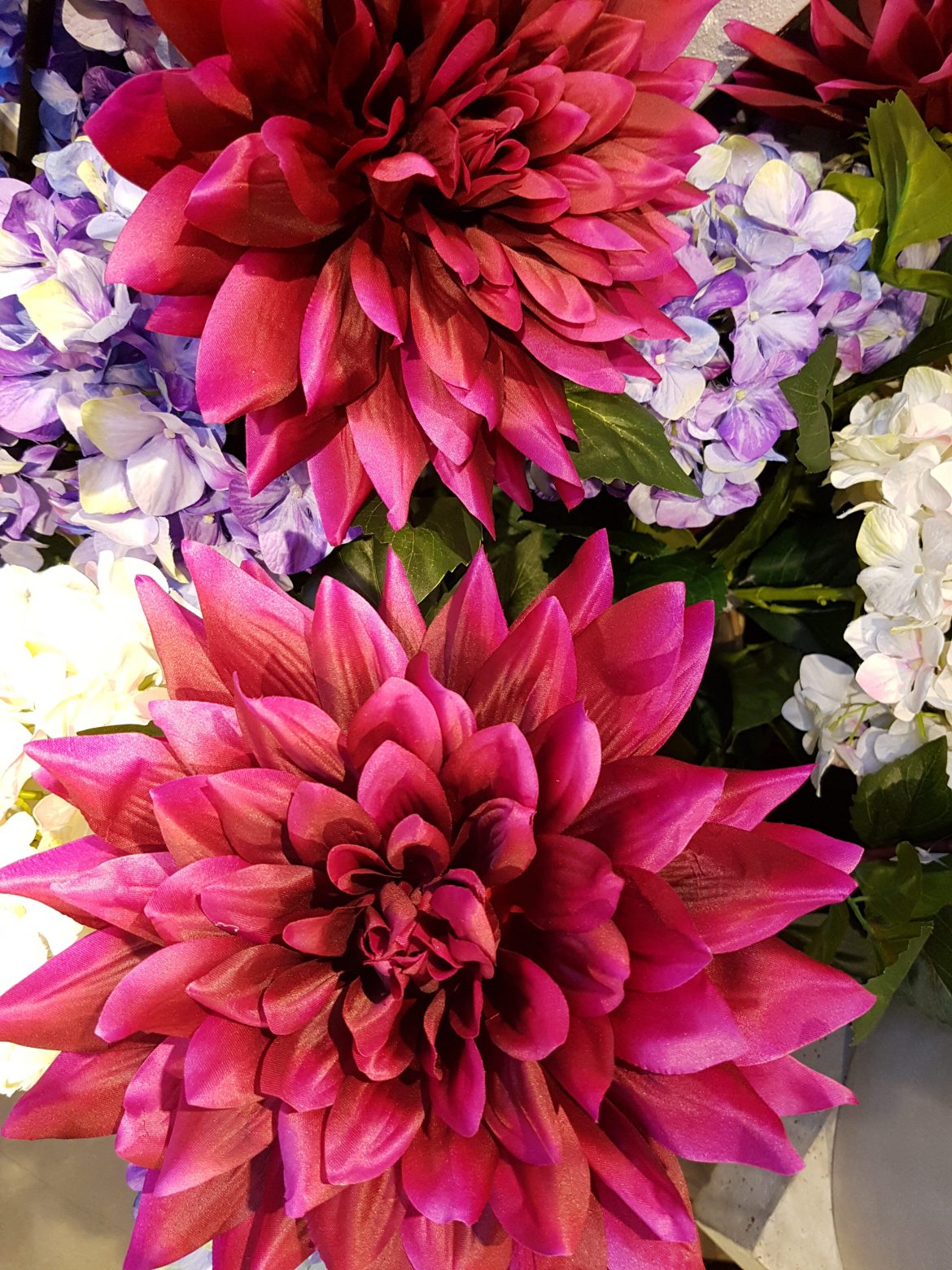 Vienna - Most beautiful blossoms and flower photos and spots - The ...