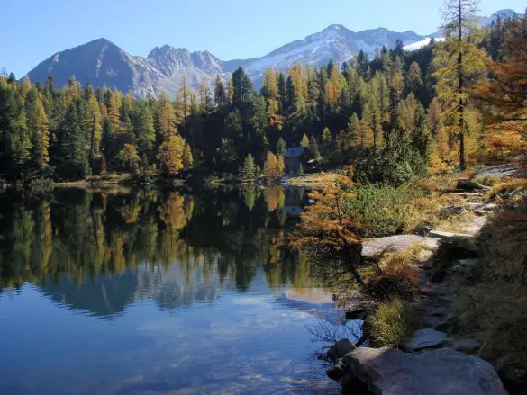 Top Things to Do in Austria in Autumn: Your Complete Guide to Fall Adventures - The Vienna BLOG