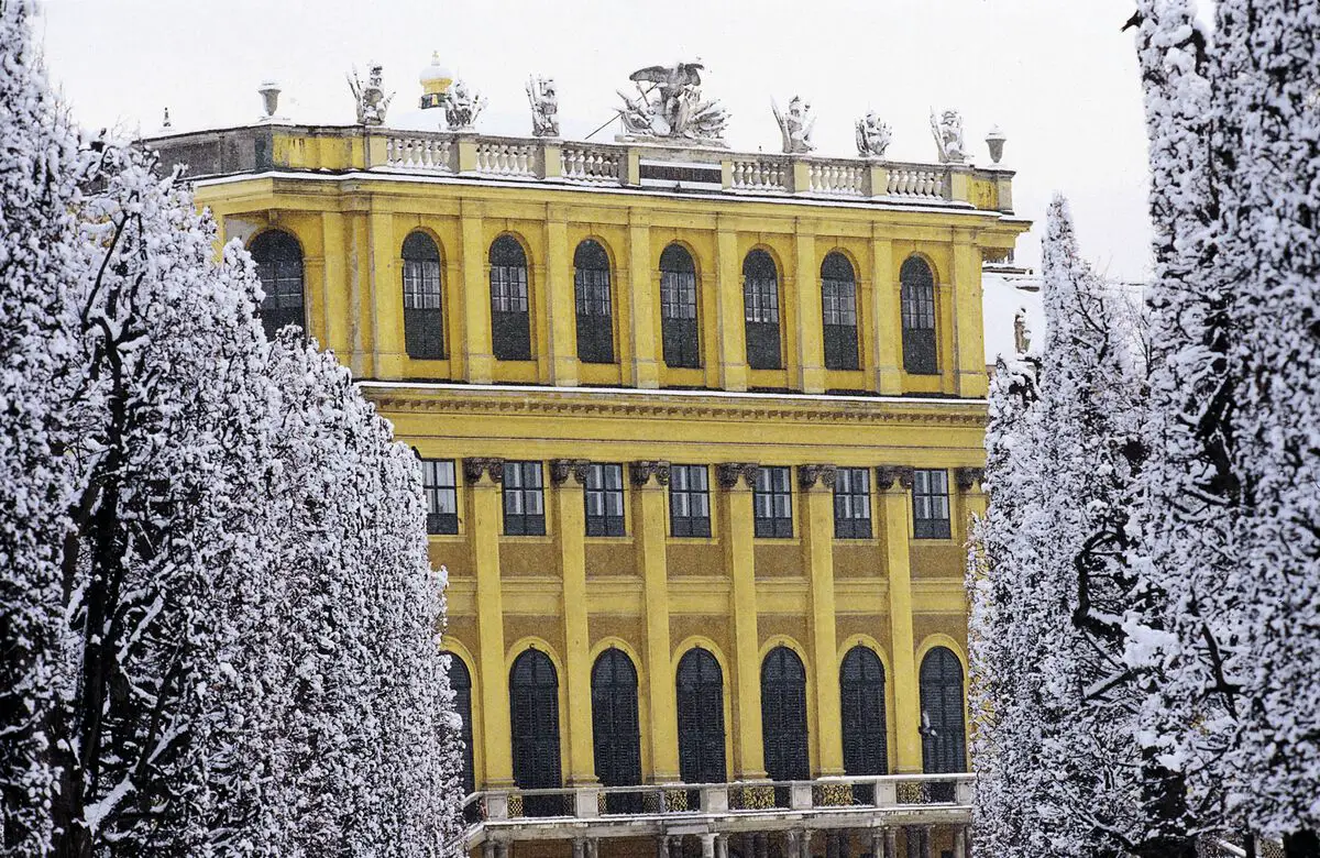 Top 10 Must-Do Activities in Vienna at Christmas and Wintertime ...