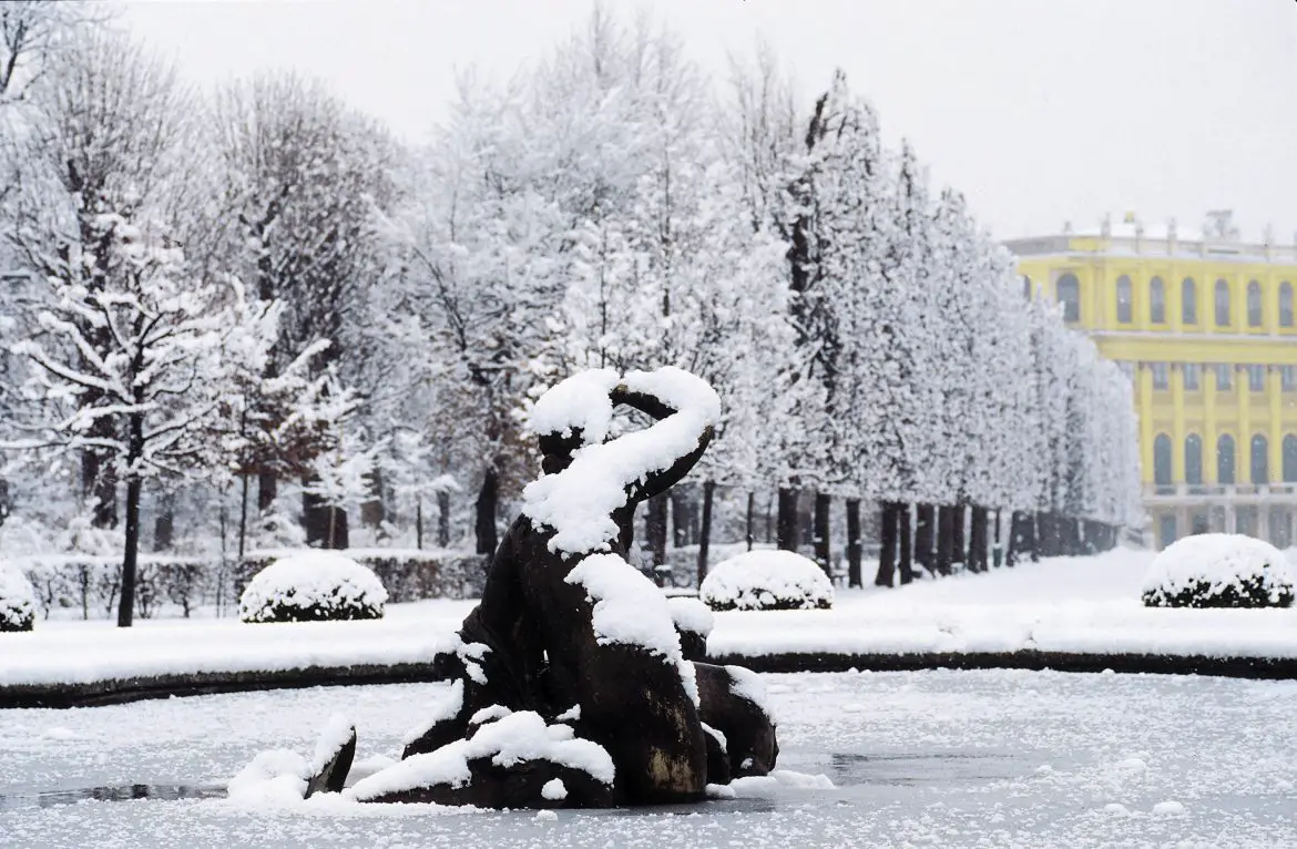 Top 10 Must-Do Activities in Vienna at Christmas and Wintertime ...