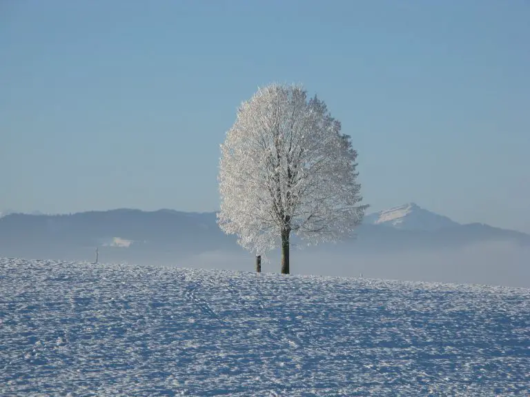 Top 10 Tips and Ideas for taking amazing Winter Photos - The Vienna BLOG