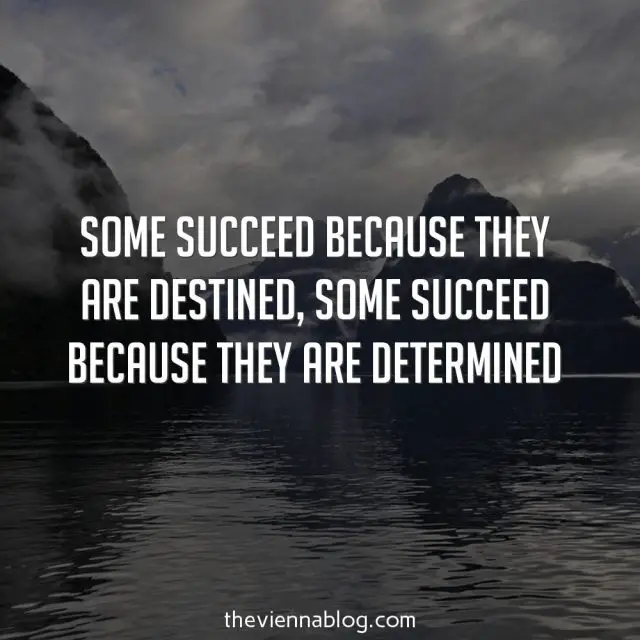 Ultimate 50 Motivational Quotes for the Modern Day Person - The Vienna BLOG