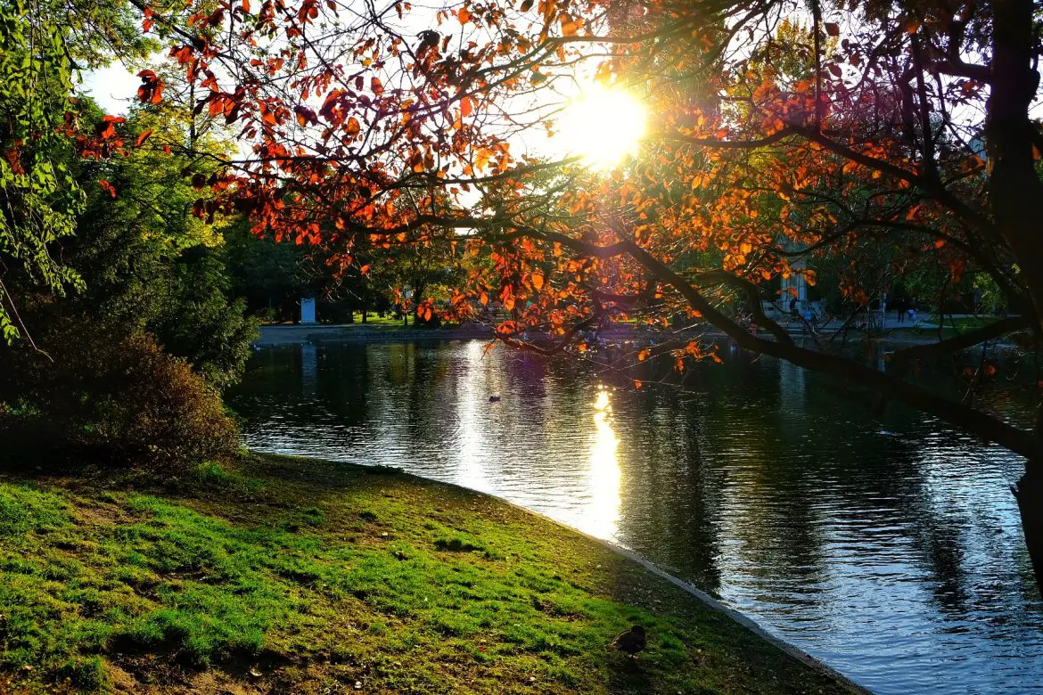 Wonderful Autumn photo inspirations - Stadtpark in Vienna, Austria - The Vienna BLOG