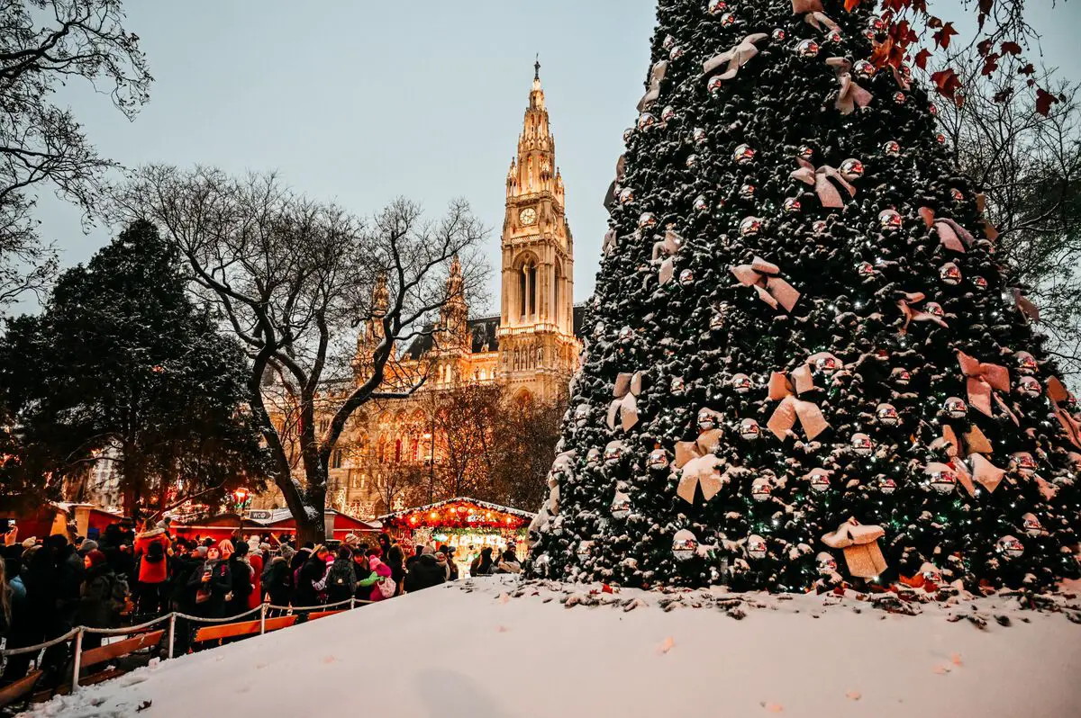 Top Reasons to Visit Vienna in Winter: A Magical Christmas Experience ...
