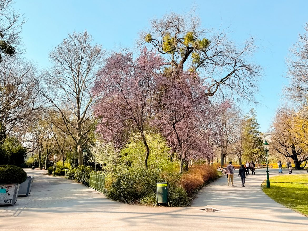 Stadtpark in Vienna - A Park for All Seasons - The Vienna BLOG