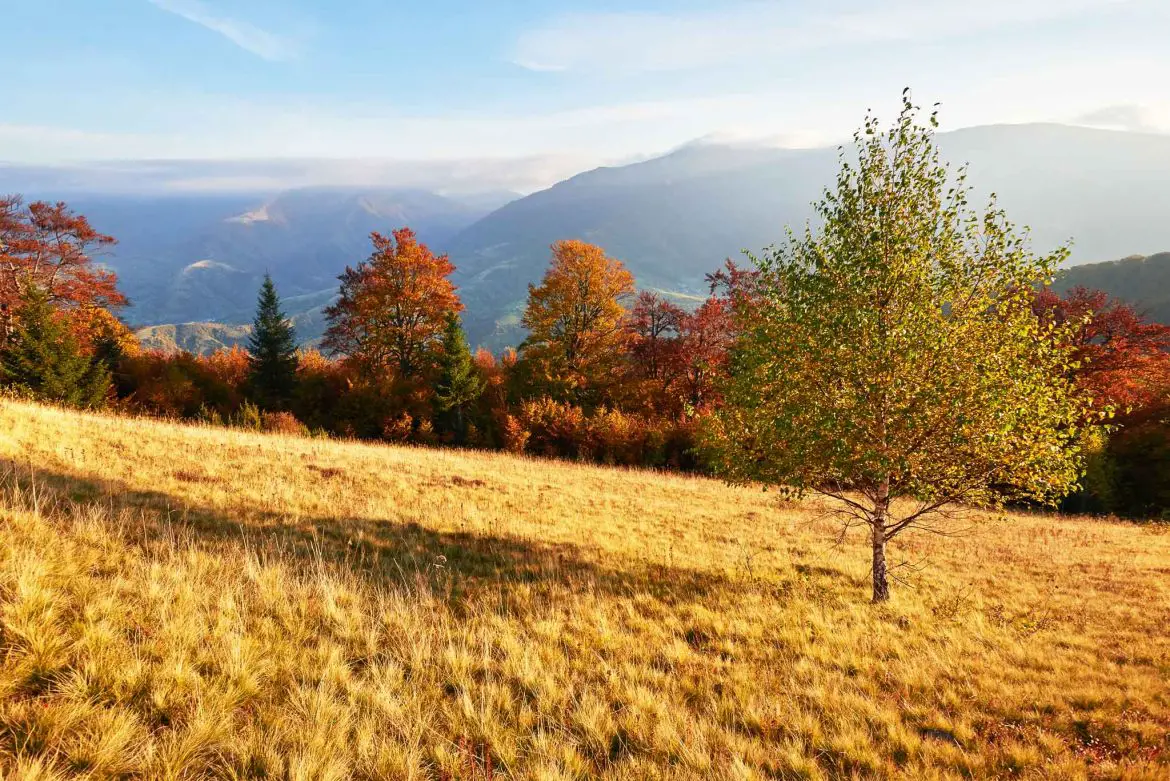 Best Photography Tips for Capturing Stunning Autumn Photos - The Vienna ...